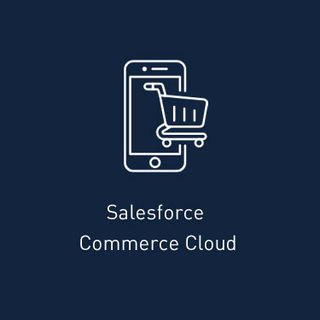 Salesforce CMS | dotSource – your digital agency